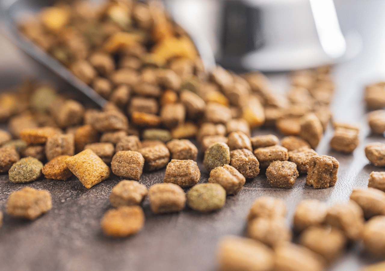 Comment choisir les meilleures croquettes chat